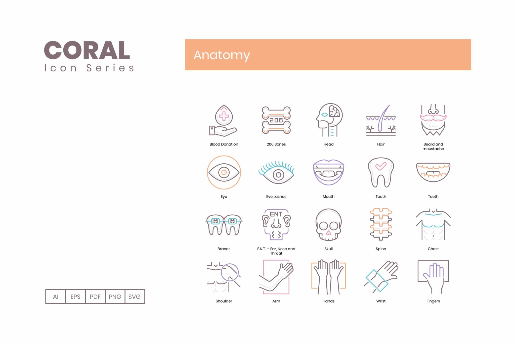 80 Anatomy Icons | Coral Series – MasterBundles