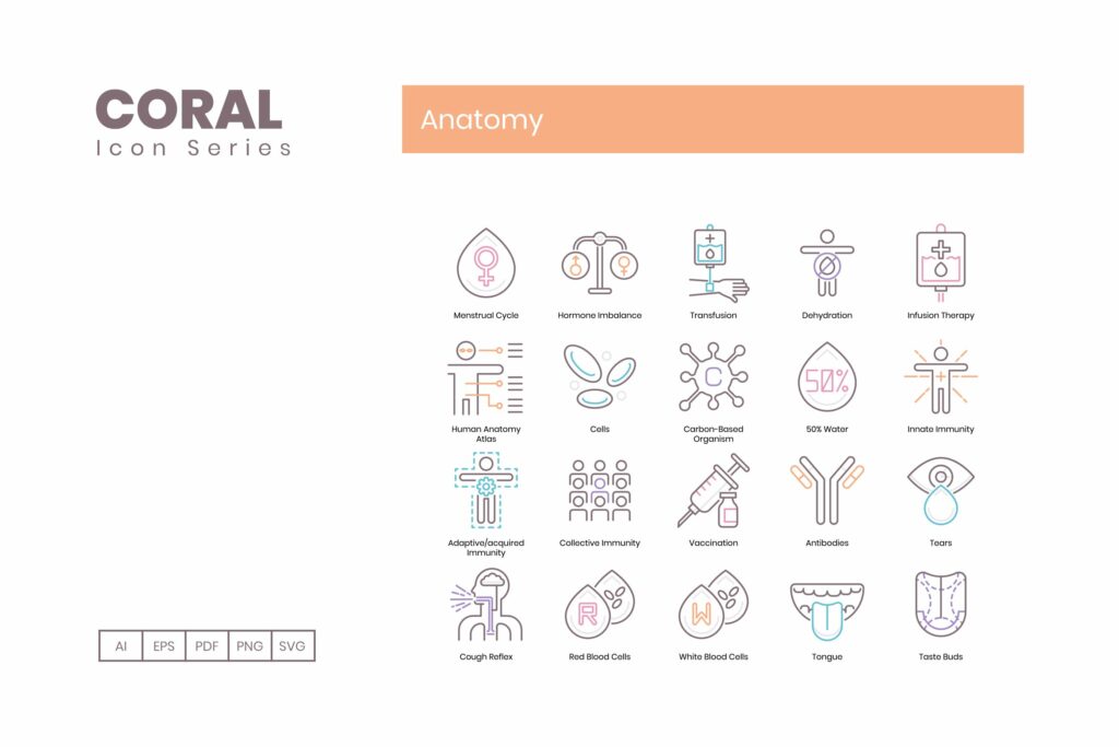 80 Anatomy Icons | Coral Series – MasterBundles