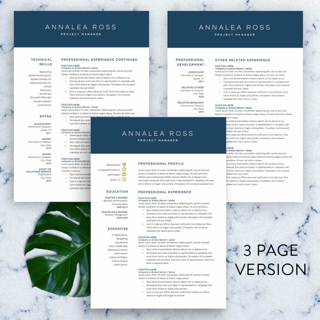 Modern Engineering Project Manager Resume for Word – MasterBundles