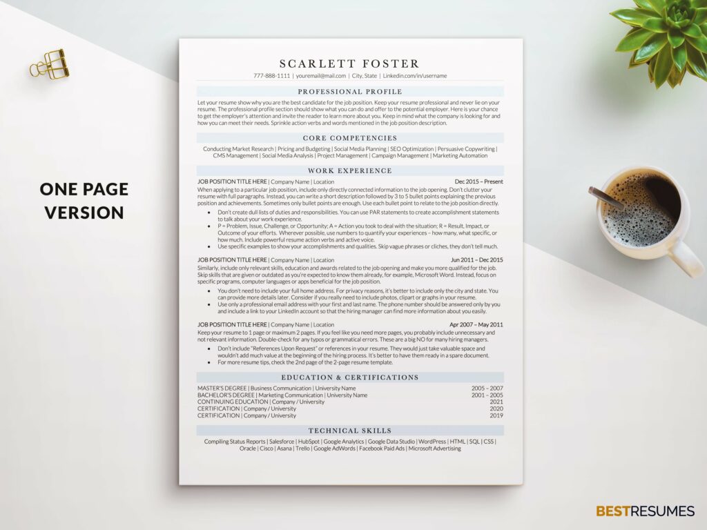 ATS Friendly Executive Resume / CV – MasterBundles