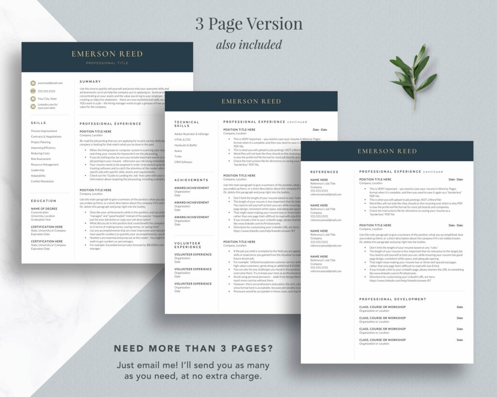 Modern Executive Resume Template – MasterBundles