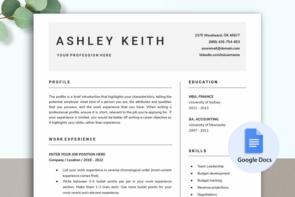 Google Docs Resume CV Template 05 – MasterBundles