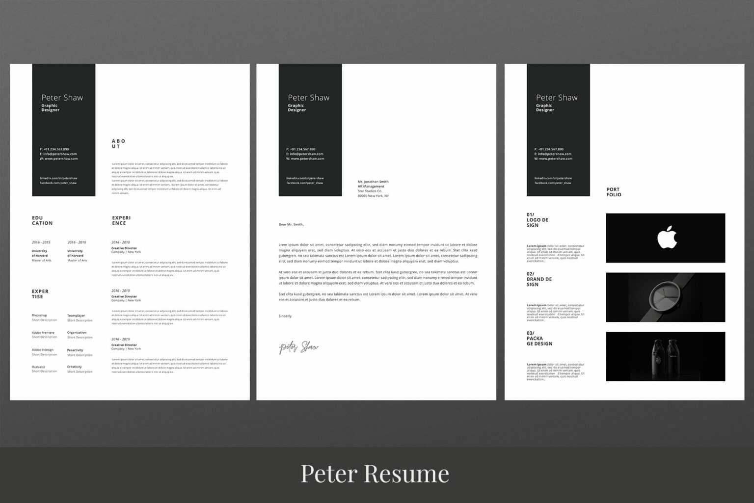 Peter Resume Template – MasterBundles