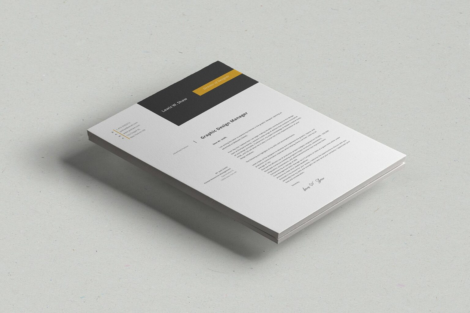 Delta Resume Template – MasterBundles