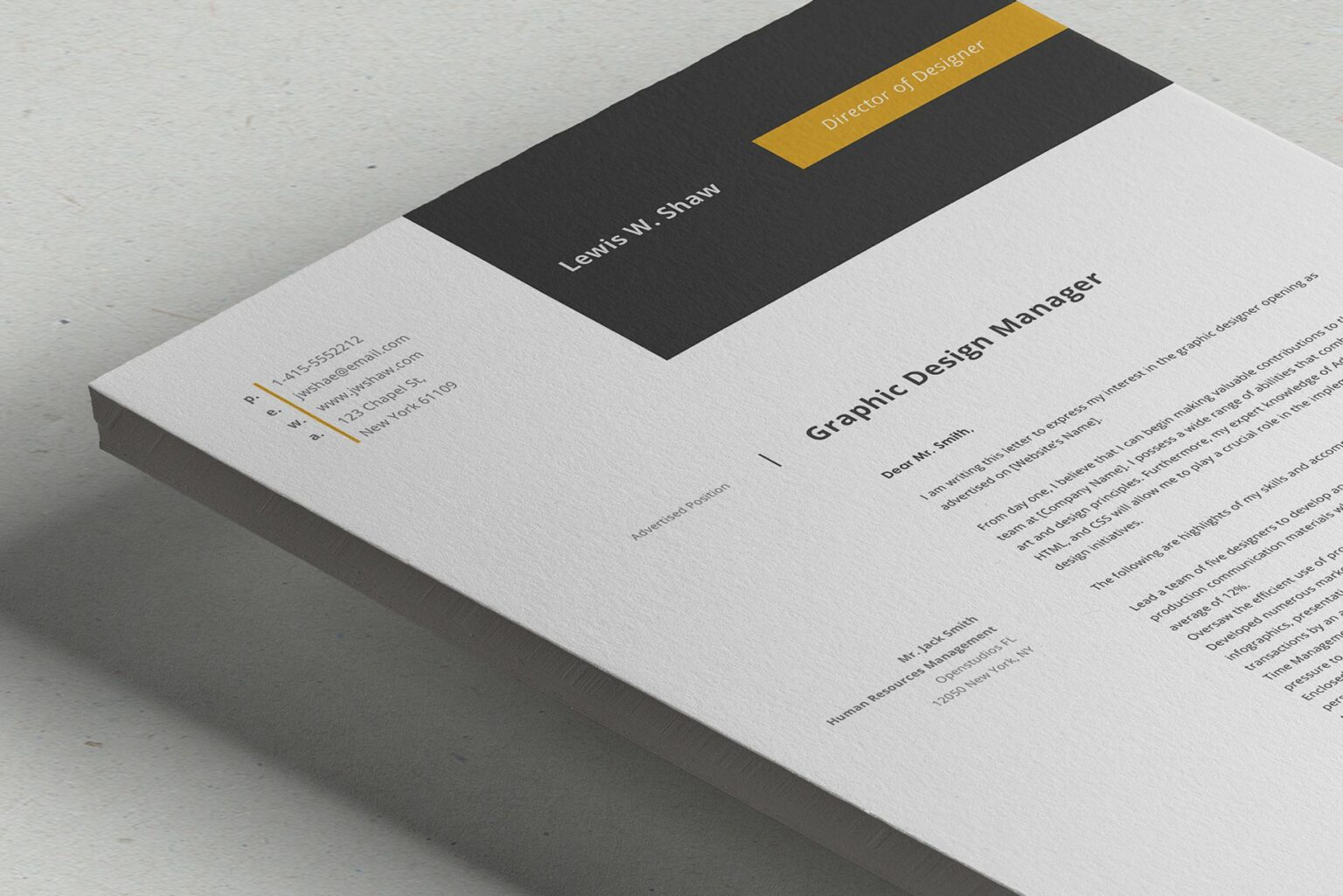 Delta Resume Template – MasterBundles