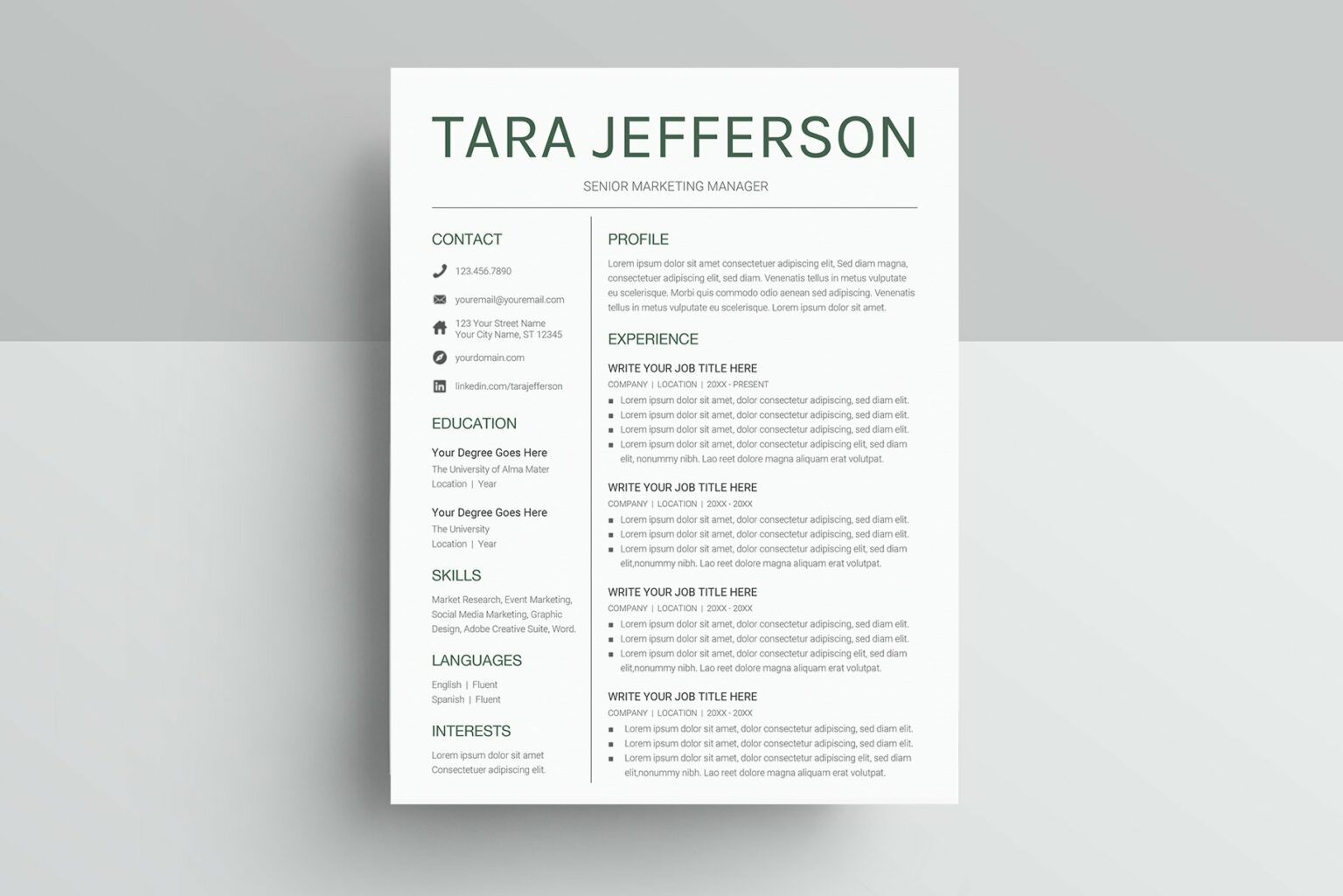 Google Docs Resume Template – MasterBundles