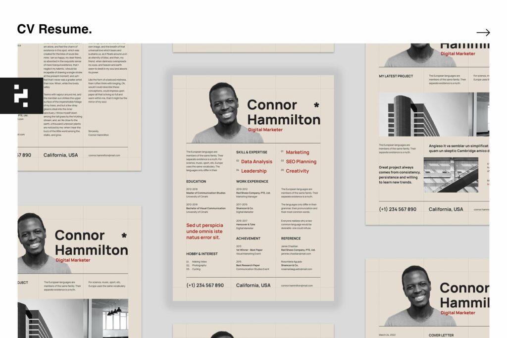 CV Resume Template - Swiss Style – MasterBundles