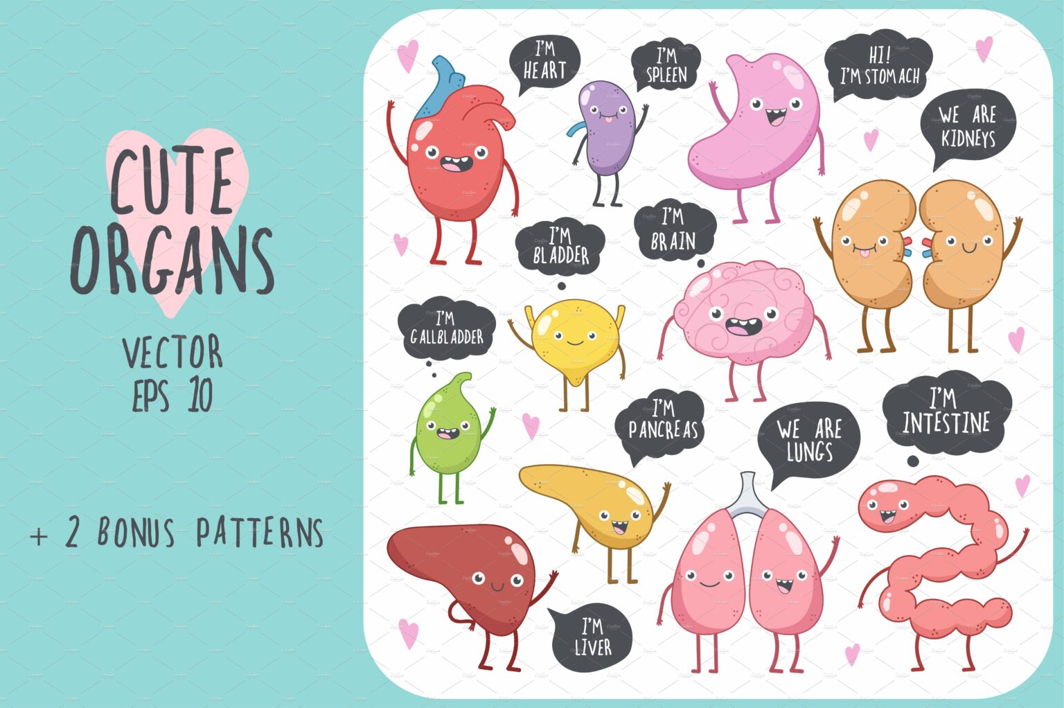 Cute Organs – MasterBundles