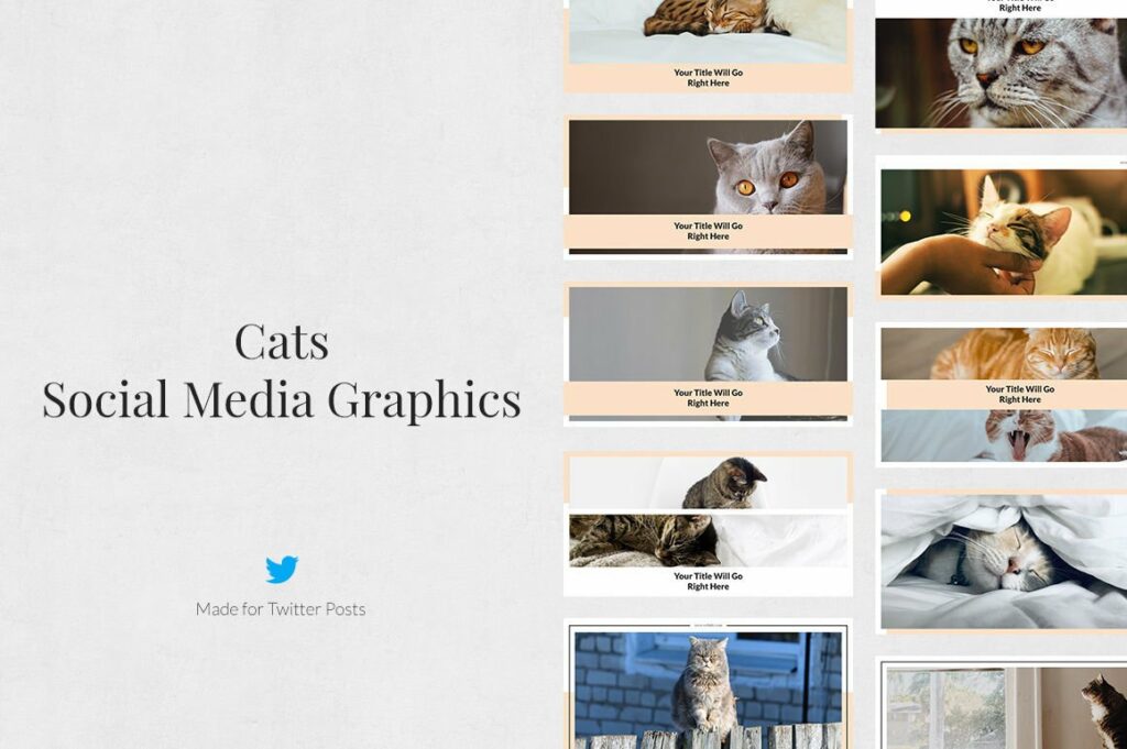 Twitter Posts Bundle – MasterBundles