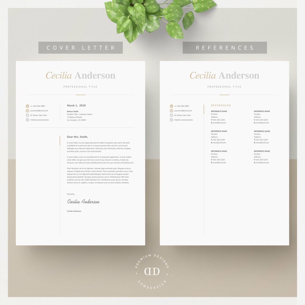 Modern 2 Page Resume Template – MasterBundles