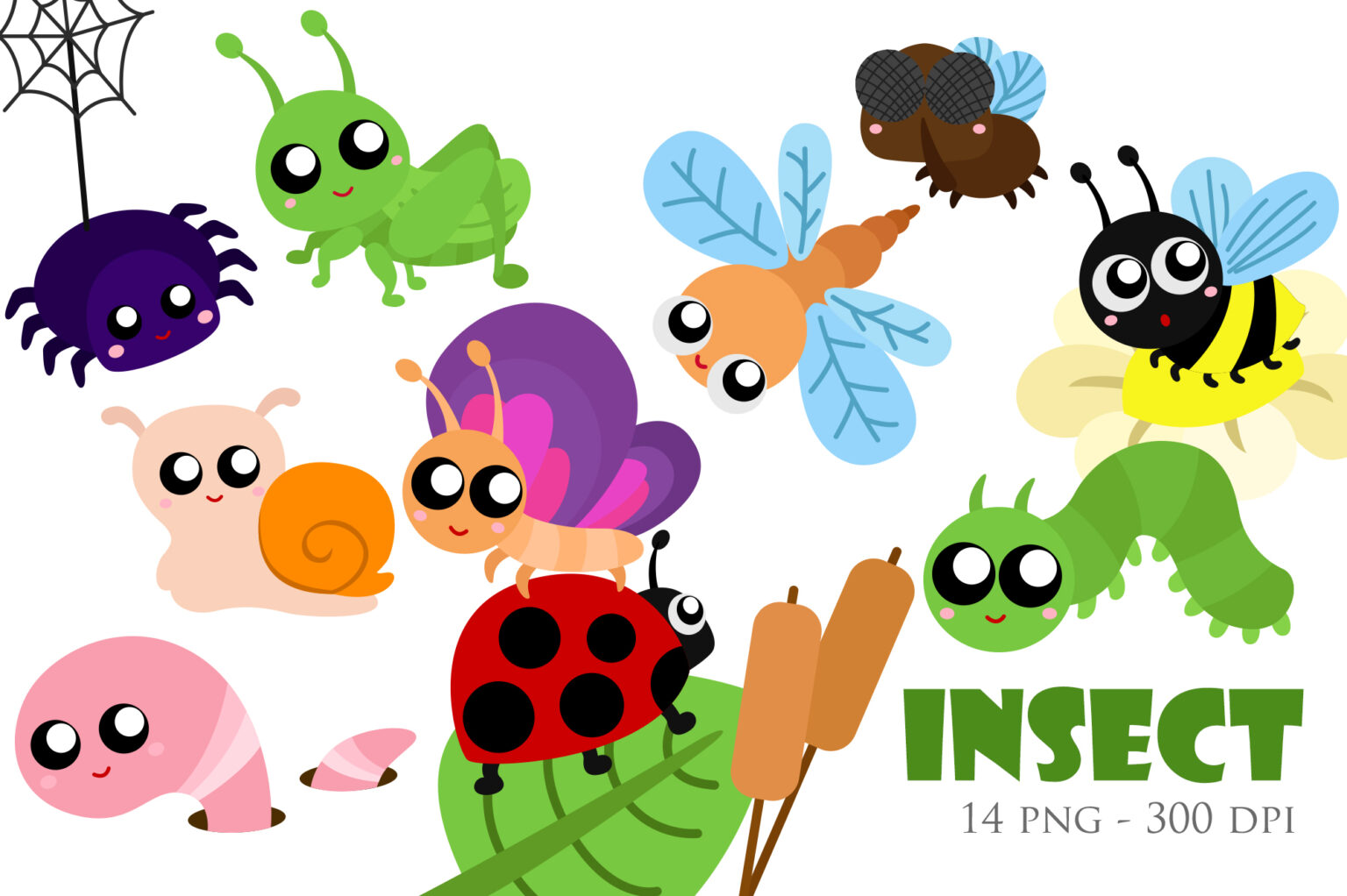 Insects Animals Illustration Vector Clipart Cartoon - MasterBundles