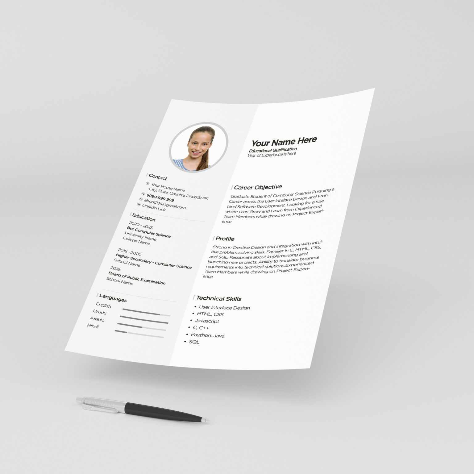 Professinal CV Design - MasterBundles