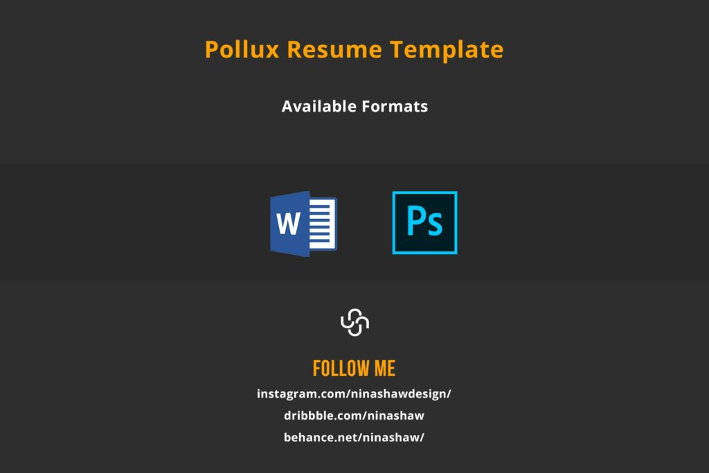 Pollux Resume Template – MasterBundles