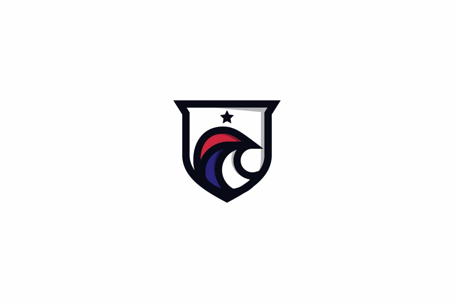 Falcon Shield Logo – MasterBundles