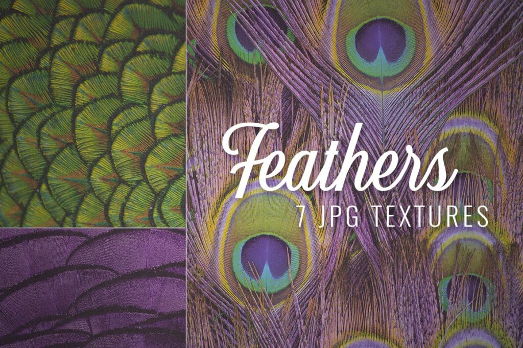 Feather Textures – MasterBundles