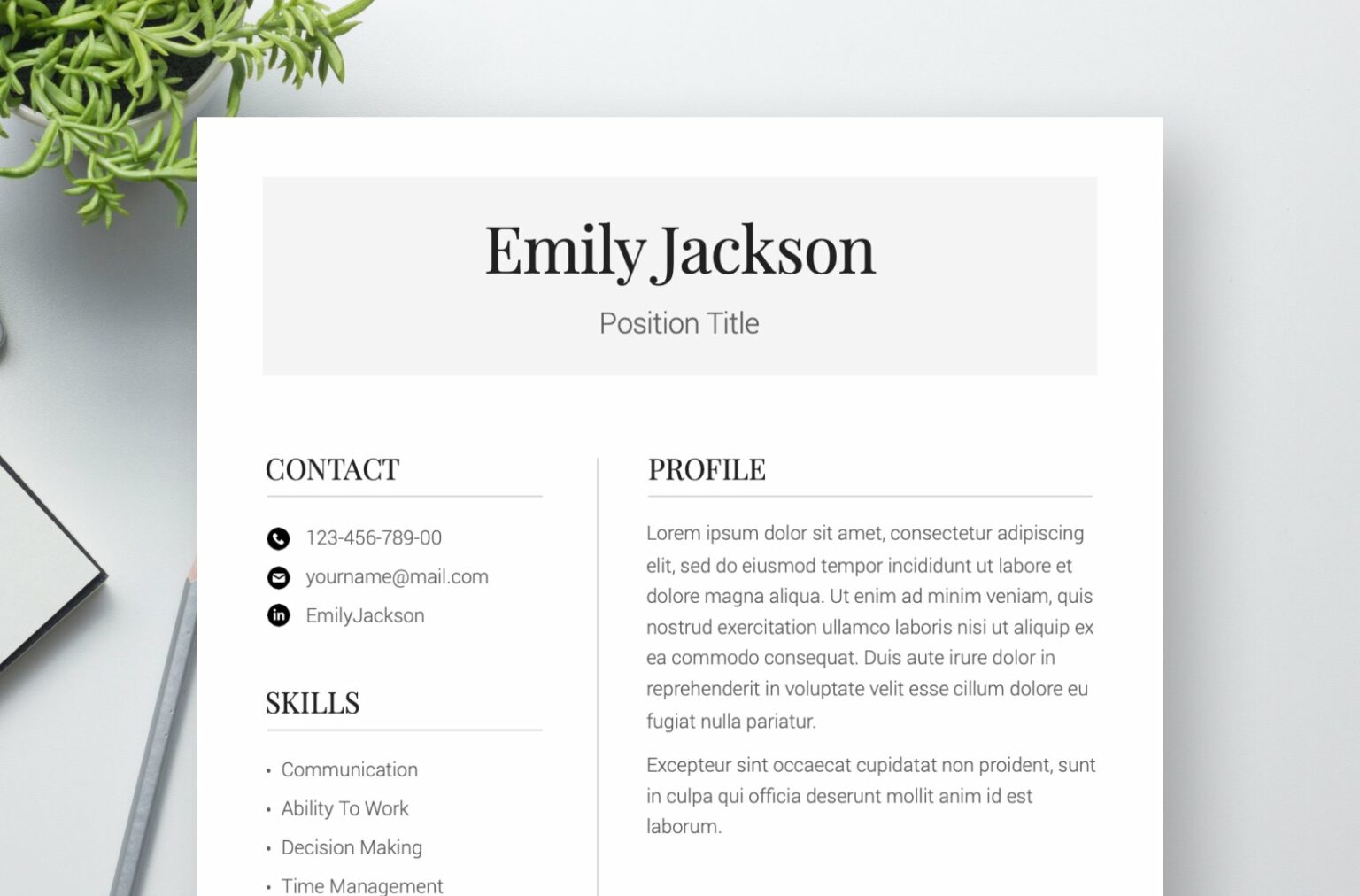 Professional Resume Template CV – MasterBundles