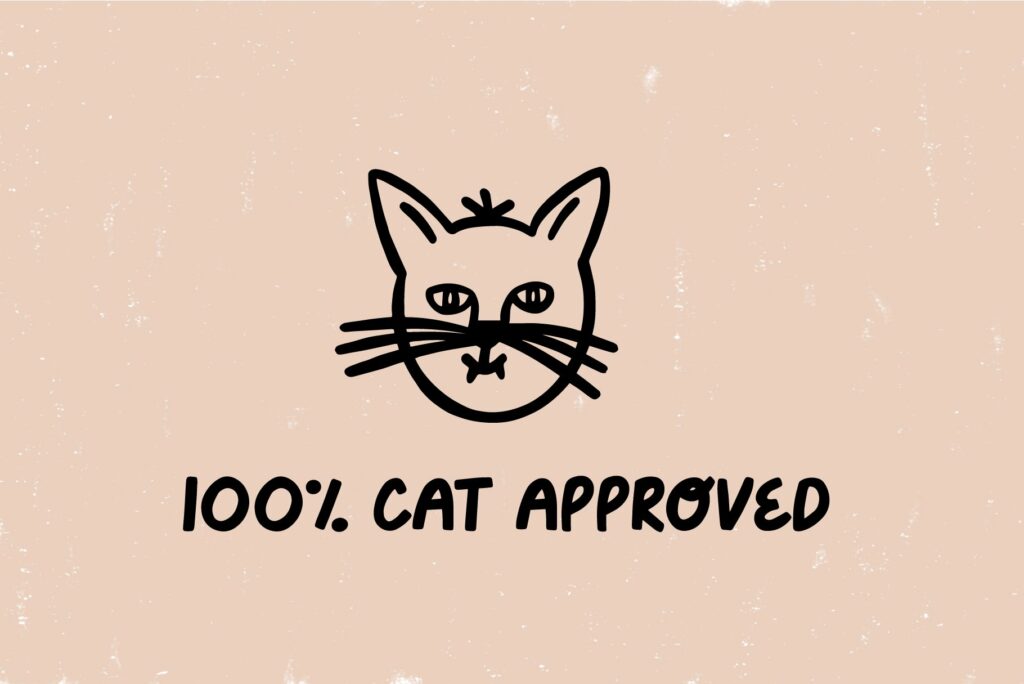 Furry Friend Handwritten Bold Font – MasterBundles