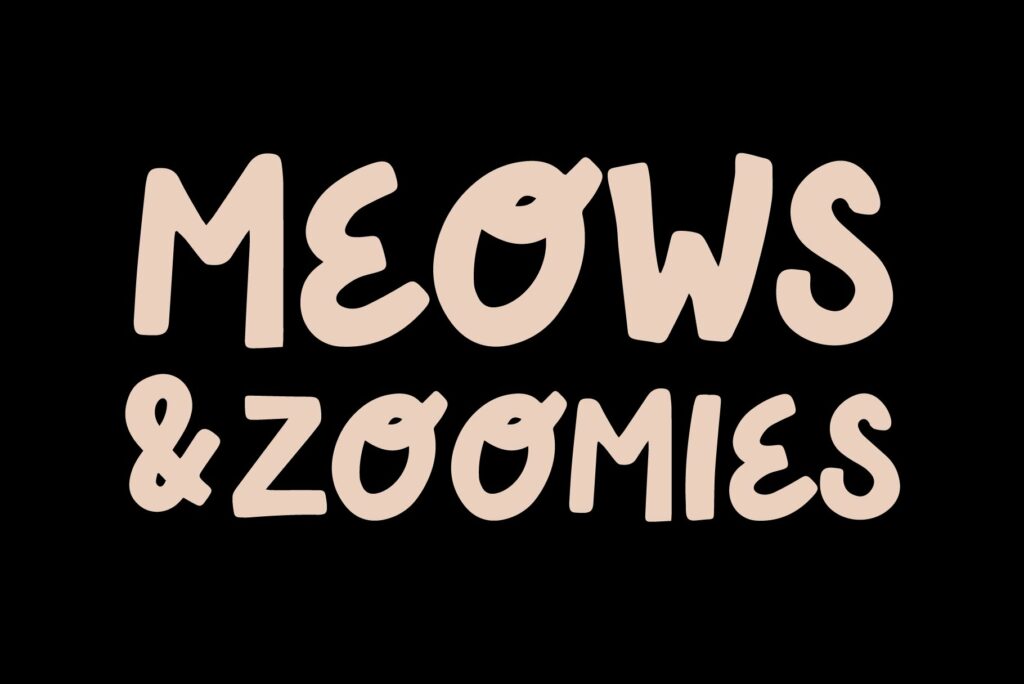 Furry Friend Handwritten Bold Font – MasterBundles