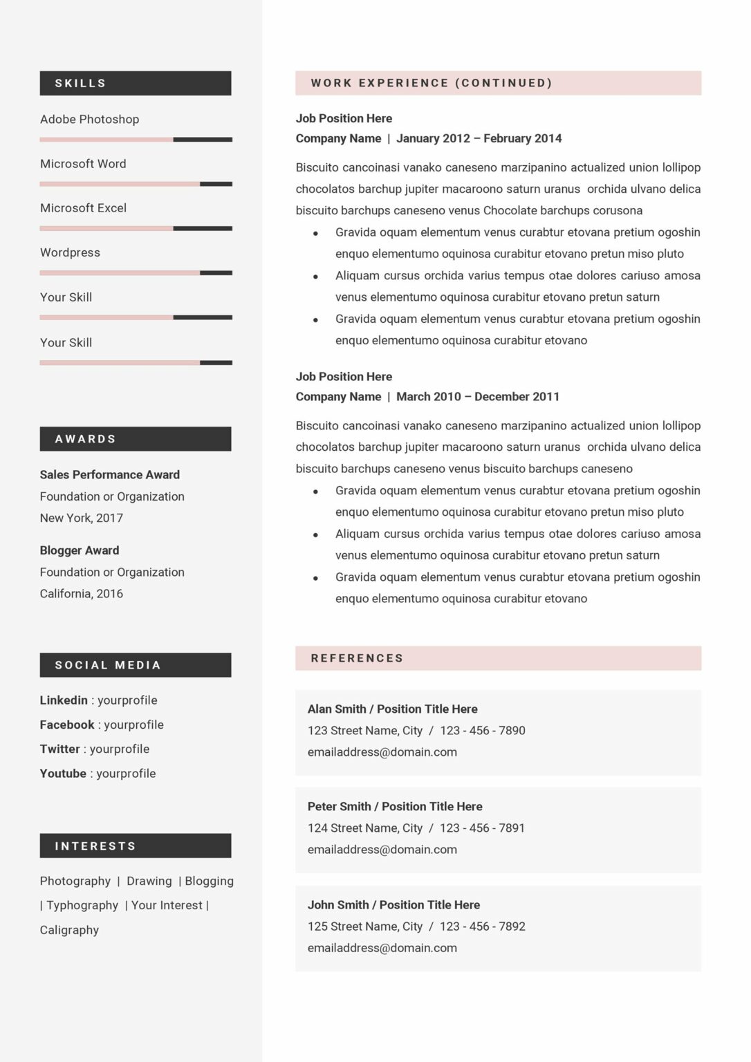 Professional CV Resume Template – MasterBundles