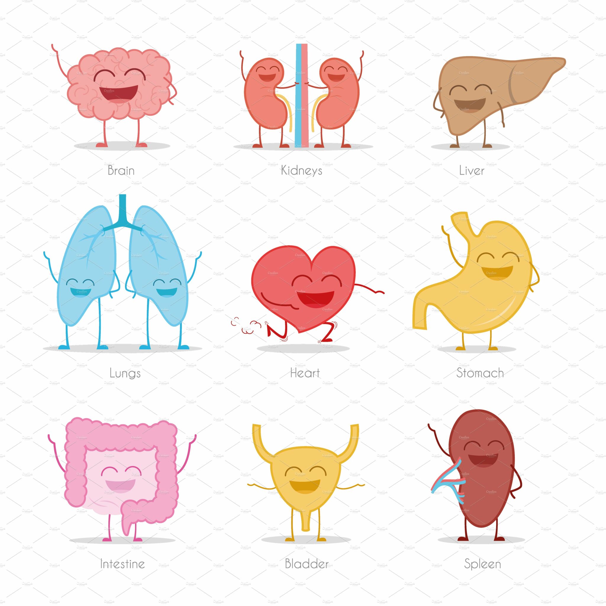 Human Organs Characters – MasterBundles