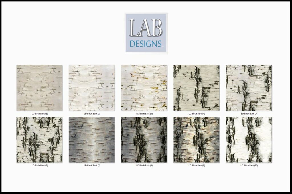 10 Birch Tree Bark Textures – MasterBundles