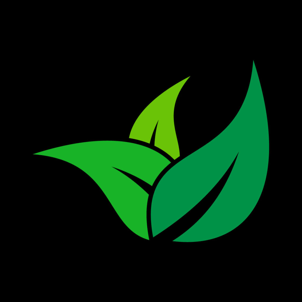 Maple Leaf Logo Vector Design - MasterBundles