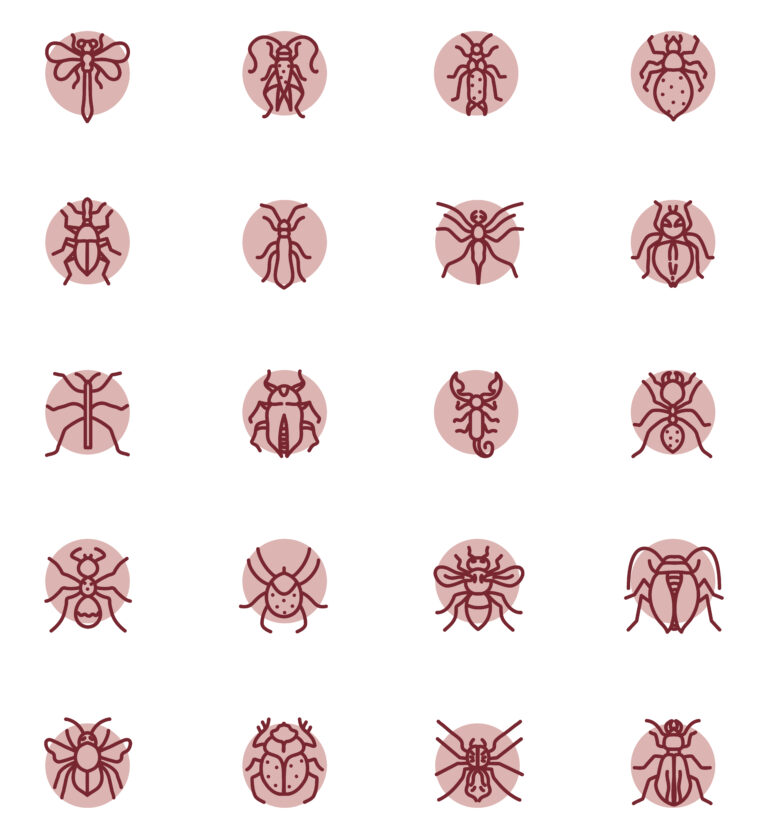 Insect Icons Set – MasterBundles