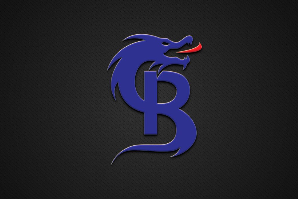 Dragon B Logo – MasterBundles