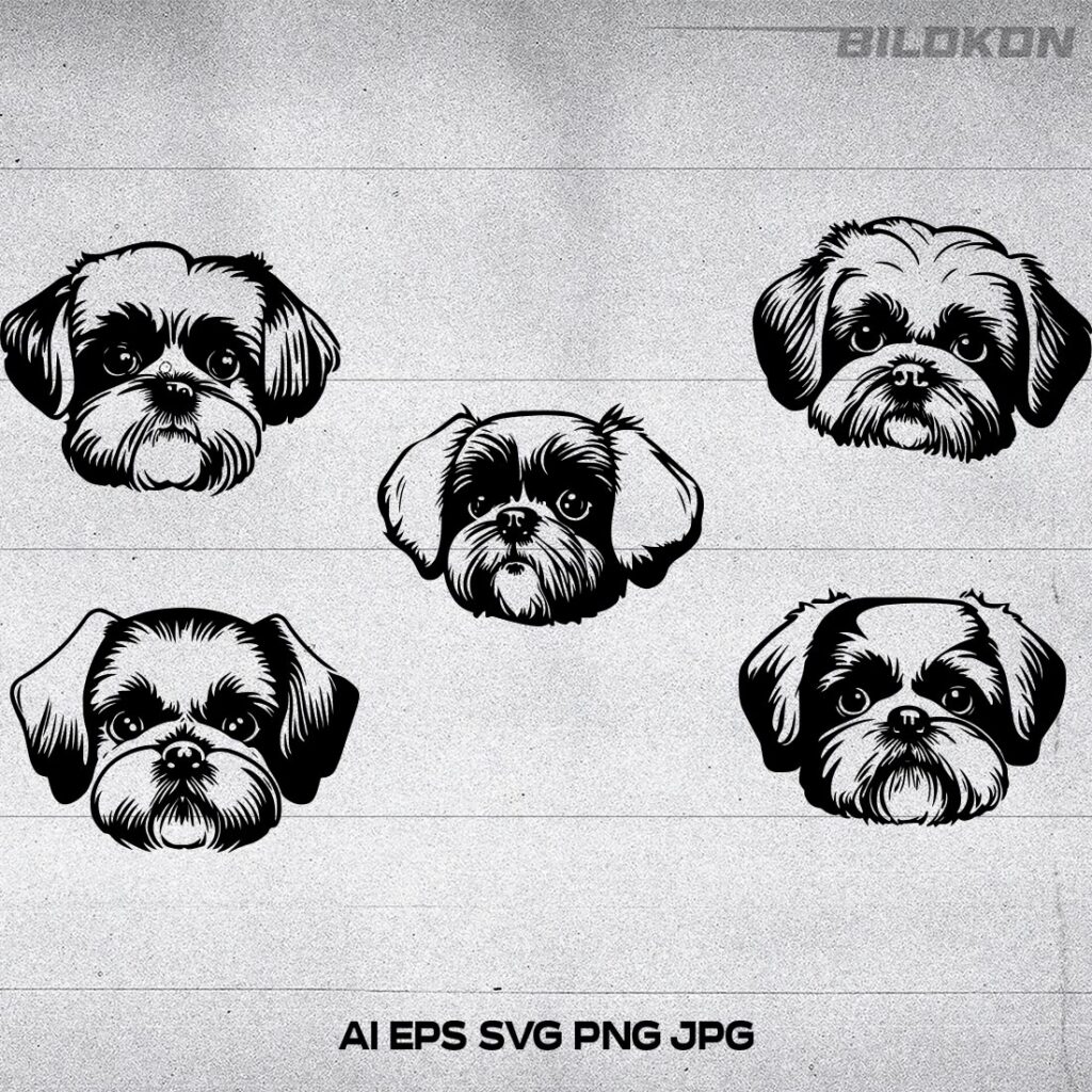 Shih tzu dog face , SVG, Vector, Illustration. - MasterBundles