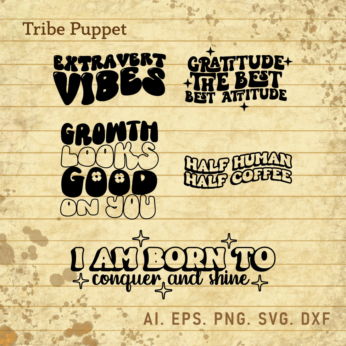 5 Aesthetic Typography Bundle - MasterBundles