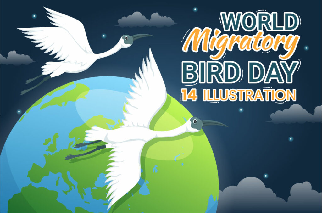 14 World Migratory Bird Day Illustration - MasterBundles