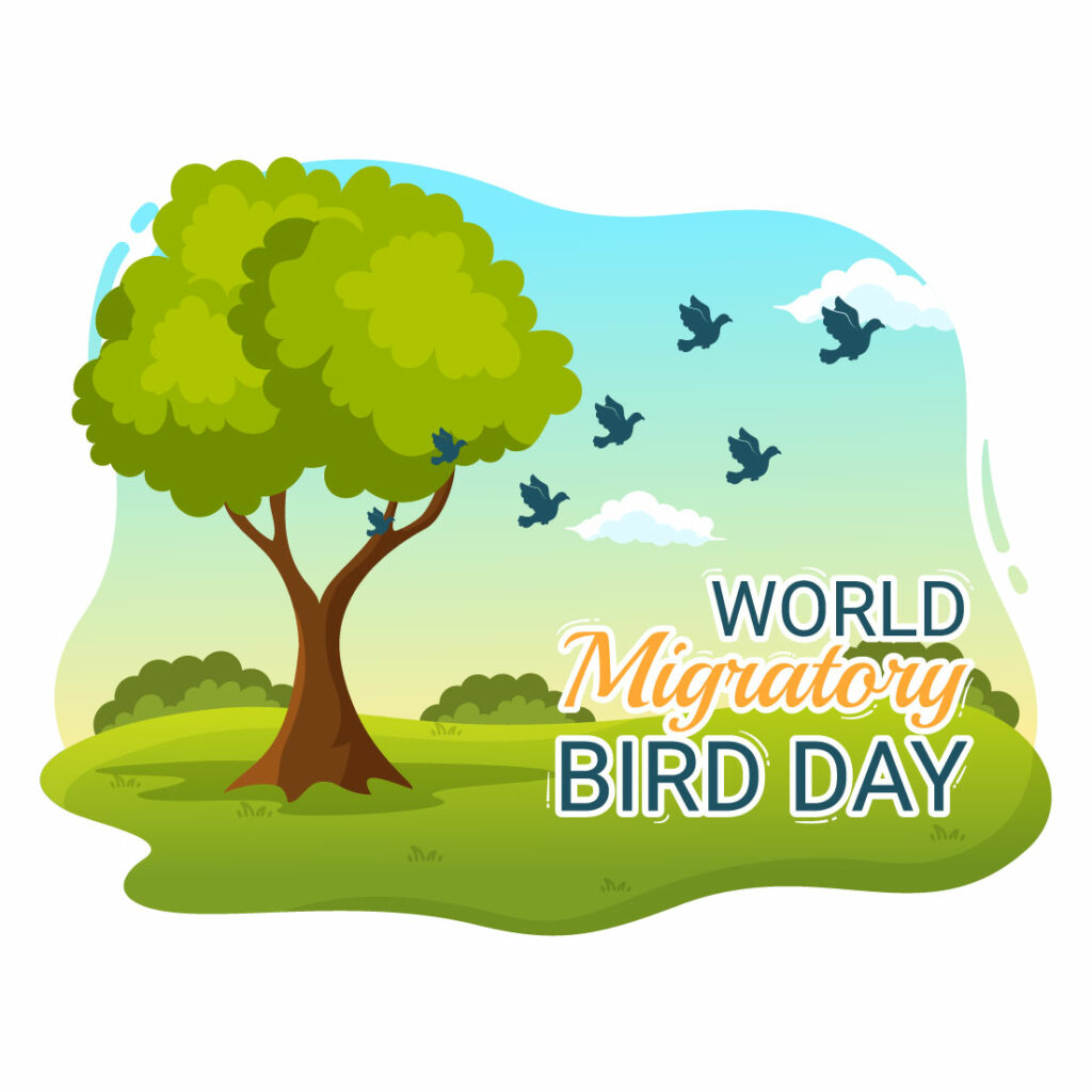 14 World Migratory Bird Day Illustration - MasterBundles