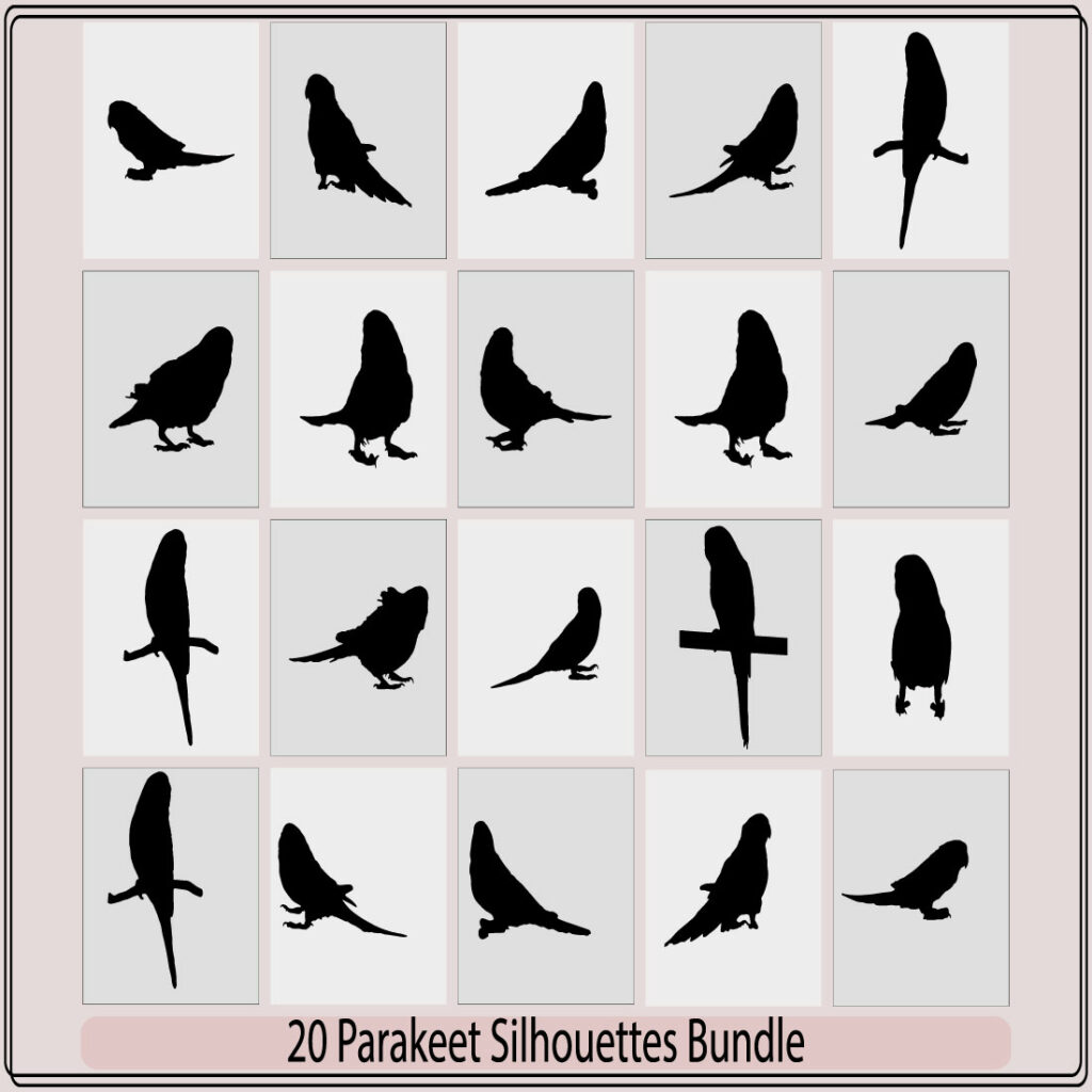 Vector of an parakeet Silhouette,Caturrita bird in profile view ...