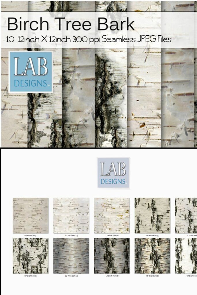 10 Birch Tree Bark Textures – MasterBundles