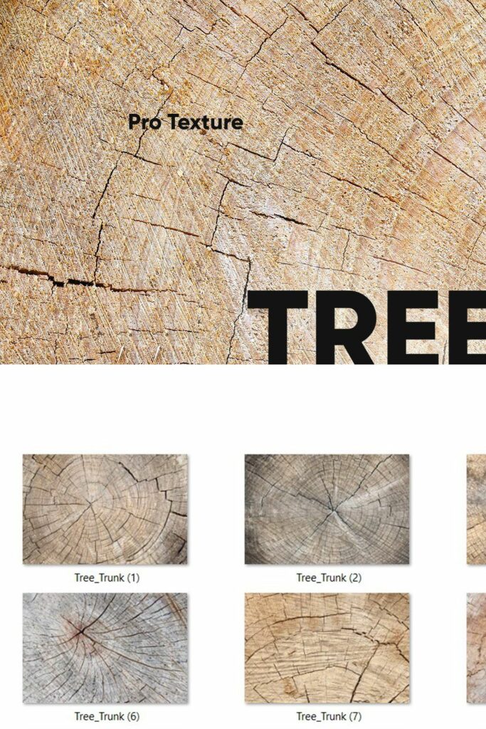 20 Tree Trunk Textures – MasterBundles