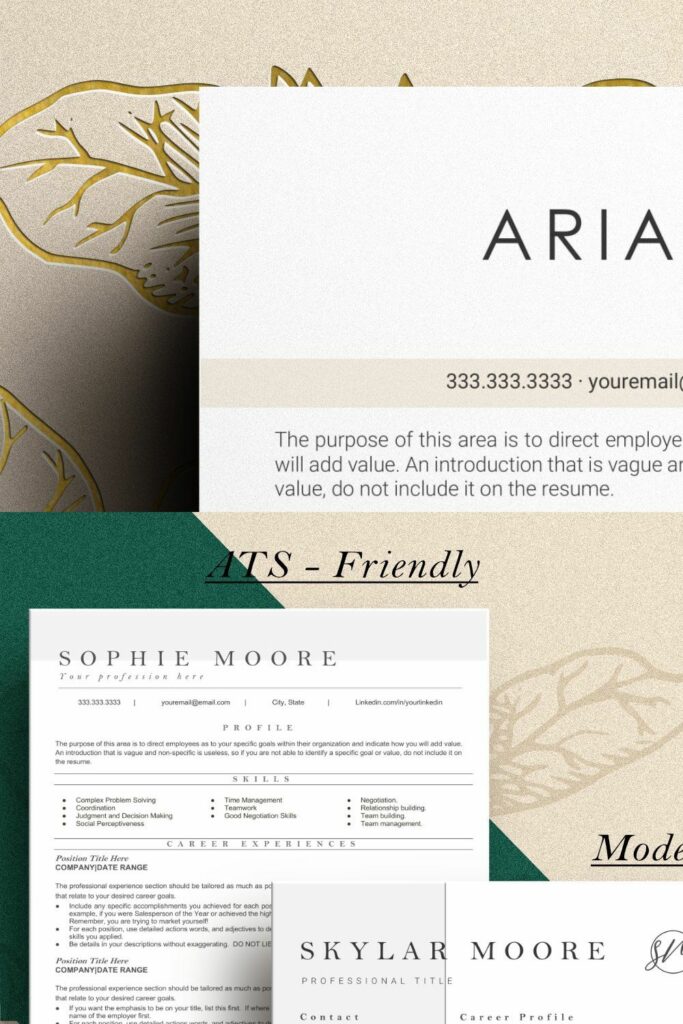 ARIANA - ATS Resume/CV + BONUSES – MasterBundles