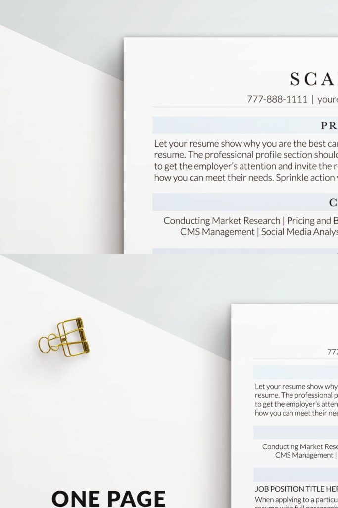 ATS Friendly Executive Resume / CV – MasterBundles