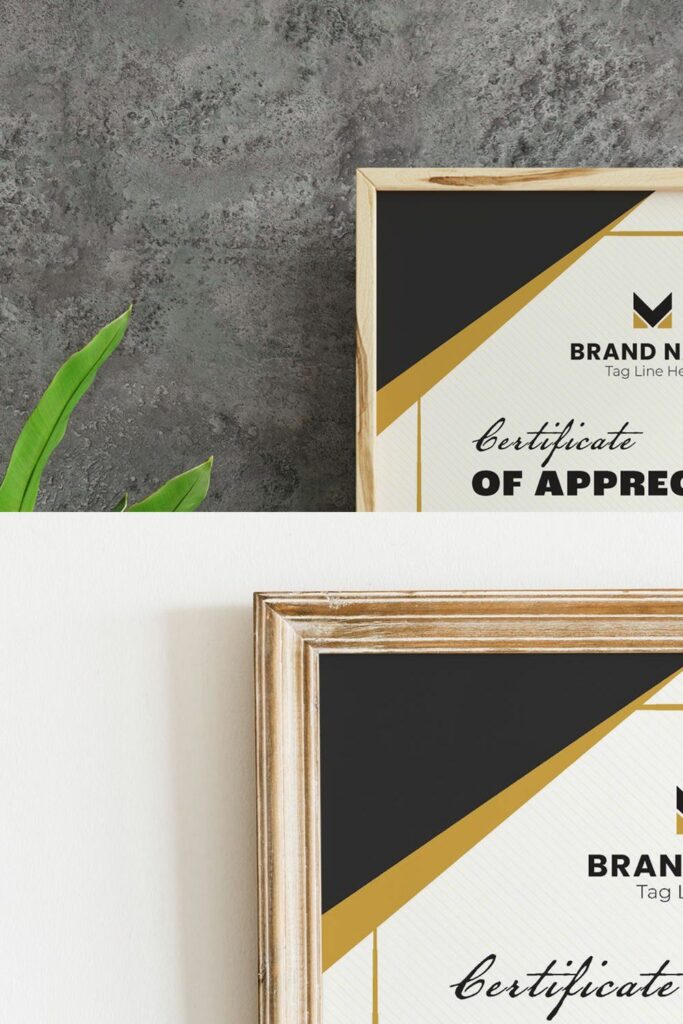 Certificate Template Layout – MasterBundles