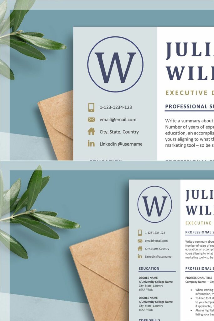 Executive Resume CV Template – MasterBundles
