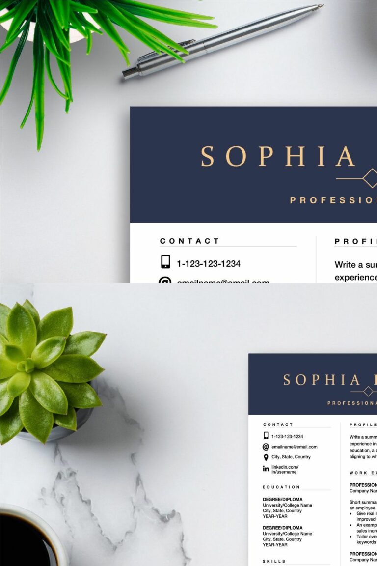 Executive Resume CV Template Bundle – MasterBundles