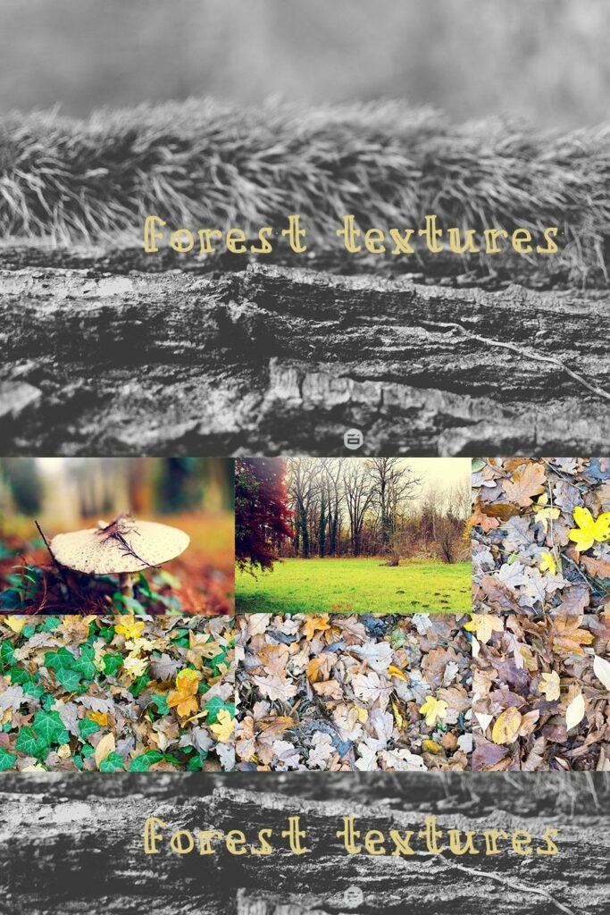 Forest textures – MasterBundles