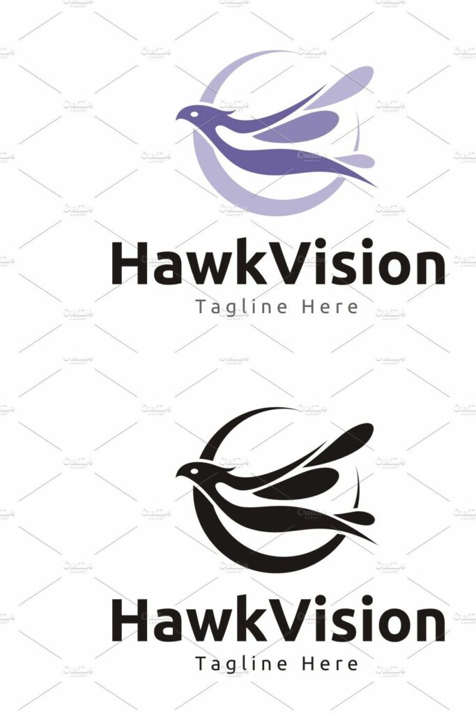 Hawk Vision Logo – MasterBundles