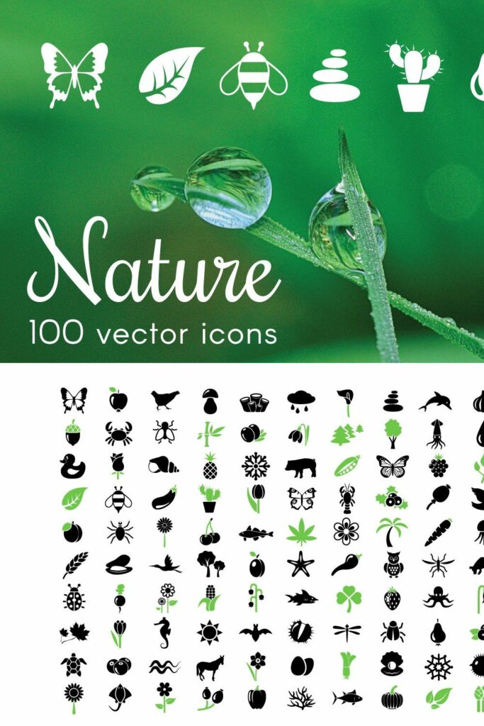 NATURE - vector icons – MasterBundles