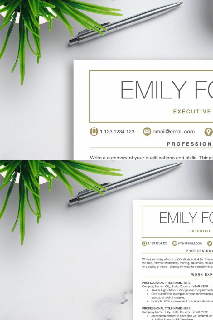 Professional Resume Template Design – MasterBundles