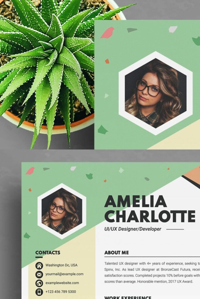 Professional Software Developer CV – MasterBundles