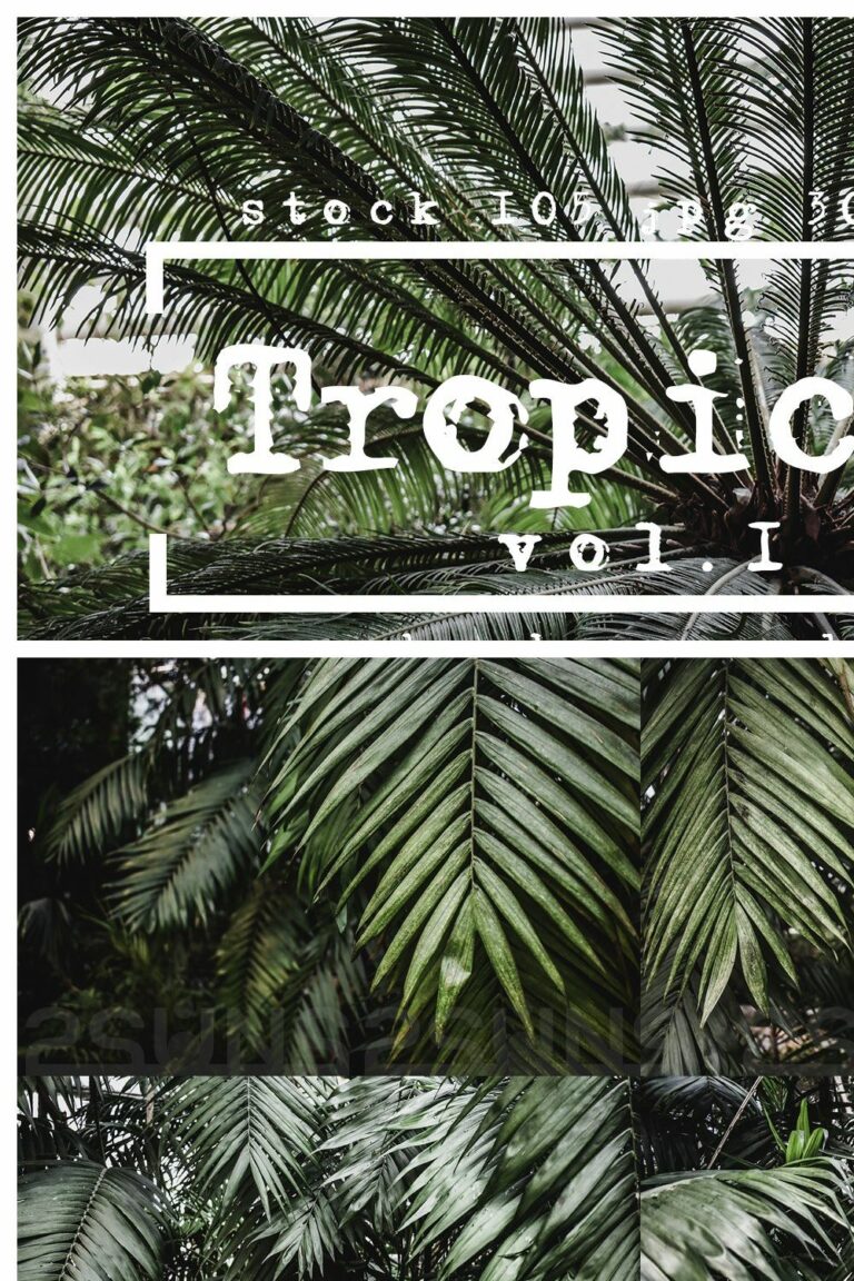Tropical Photoshop textures – MasterBundles