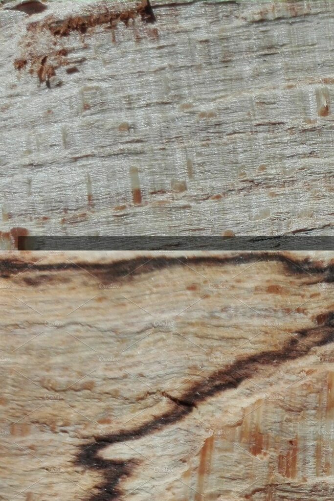 Wood Texture Pack 2 – MasterBundles