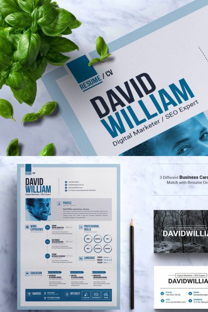 Word Resume / CV Template Design – MasterBundles