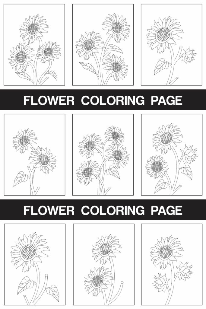 Sunflower Coloring Page And Book Hand Drawn Line Art illustration ...