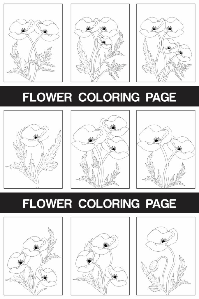 Poppy Flower Coloring Page And Book Hand Drawn Line Art illustration ...